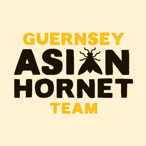 Fragile Guernsey | Organisations